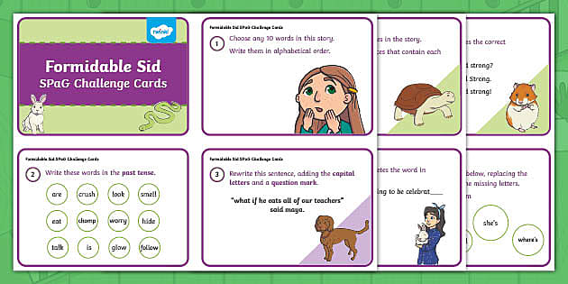 Year 2 Formidable Sid SPaG Challenge Cards (teacher made)