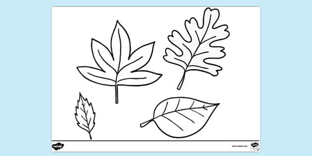 Different Types Of Leaves Colouring Page Colouring Pages