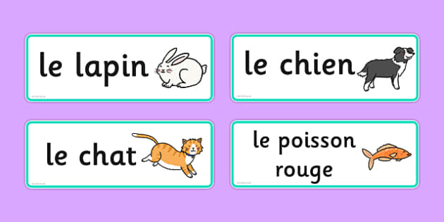 French Pets Word Cards