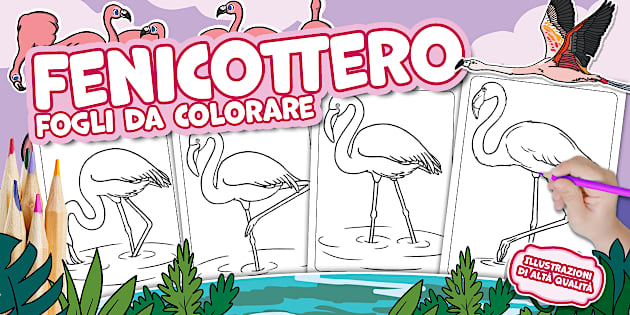 Fogli da colorare: Fenicottero