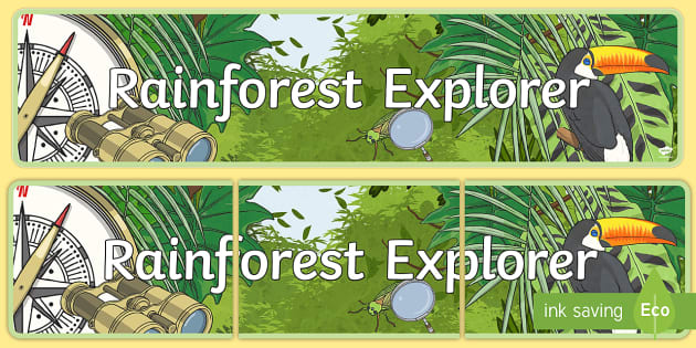 Rainforest Explorer Role Play Display Banner - Twinkl