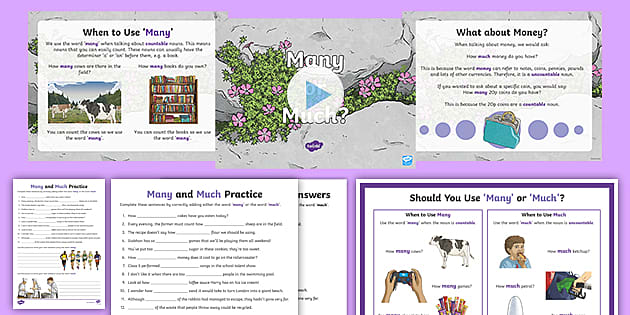 Much And Many Worksheets Activity Pack teacher Made 