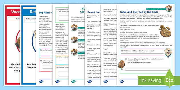Chocolate Reading Comprehension KS2 | Focused Reading Skills