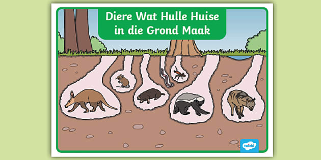 Diere Wat Hulle Huise In Die Grond Maak Vertoonplakkaat
