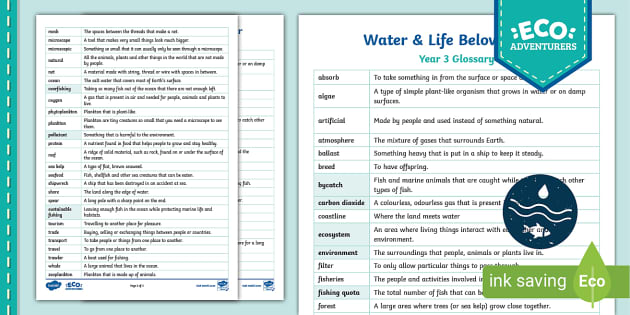 Year 3 Water & Life Below Water: Key Vocabulary Glossary