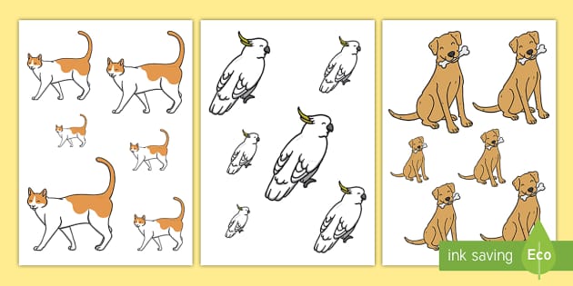 Pets Size Ordering (teacher made)