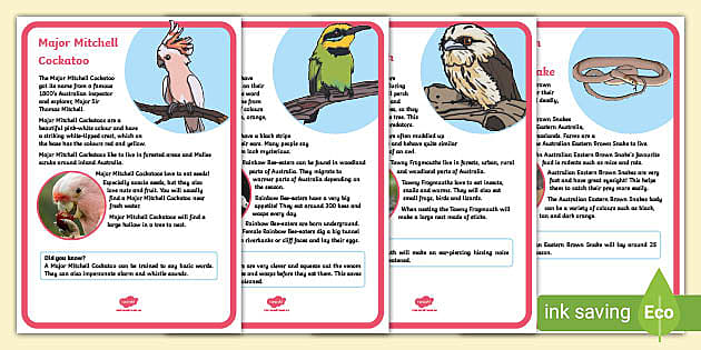 Australian Animals Fact Files (teacher made)