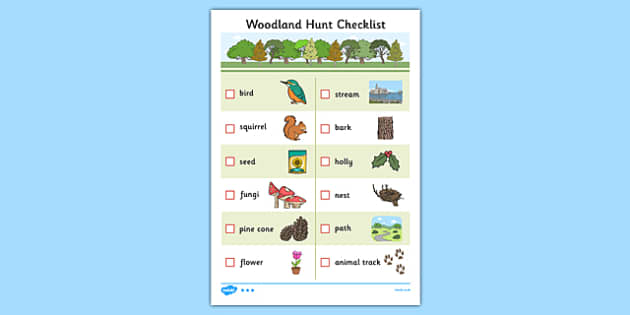 Woodland Hunt Checklist (teacher made)