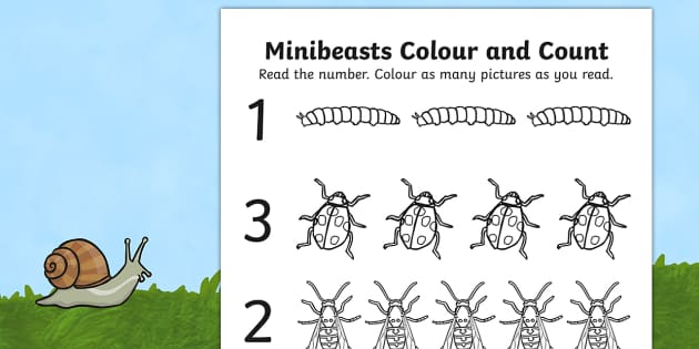 Minibeasts Themed Count and Colour Sheet - Twinkl