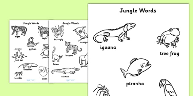Jungle Words Colouring Sheets (teacher made) - Twinkl