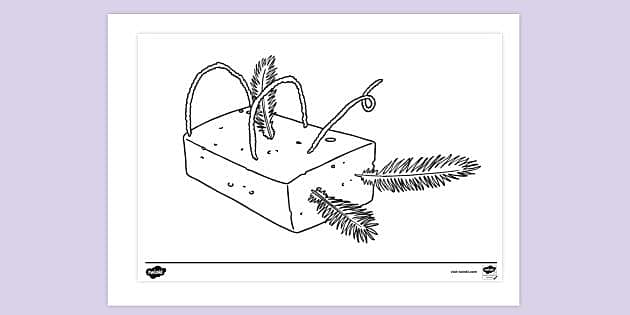 FREE! - Stick Feathers in Sponge Colouring Sheet | Colouring Sheets