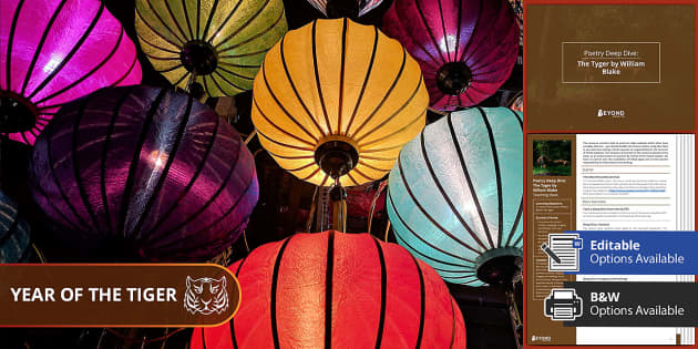 The Tyger Poem Analysis Lesson | KS3 Poetry | Beyond English