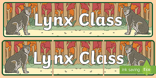 Lynx-Themed Display Banner (teacher made) - Twinkl