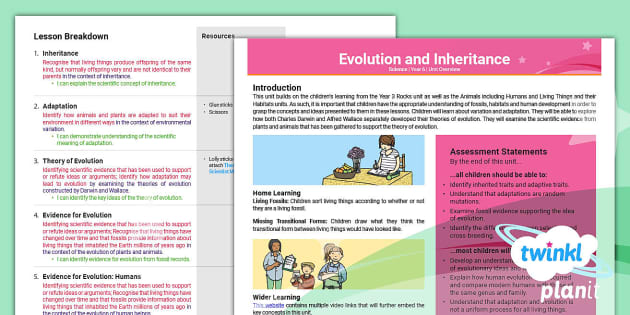Science: Evolution and Inheritance Year 6 Planning Overview