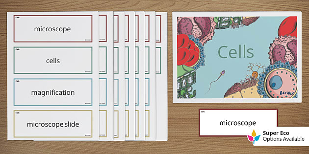 Cells Word Wall | Display Vocabulary | Biology - Twinkl