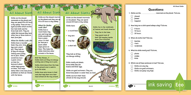 KS1 All About Sloths Differentiated Reading Comprehension Activity