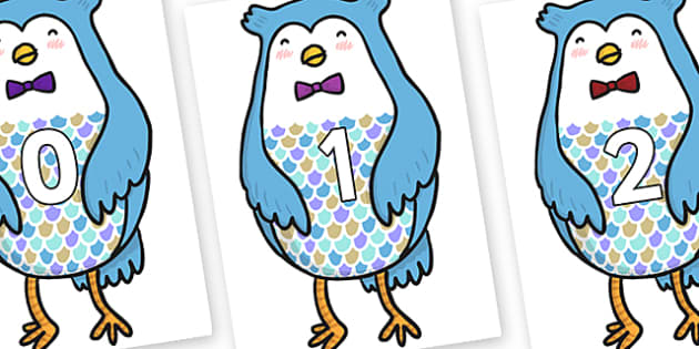Numbers 0-50 on Owl (teacher made) - Twinkl