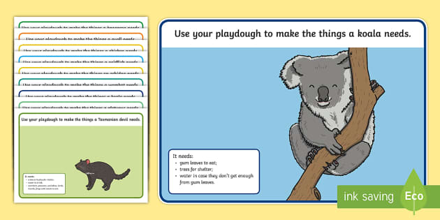 What Animals Need Playdough Mats (teacher made) - Twinkl