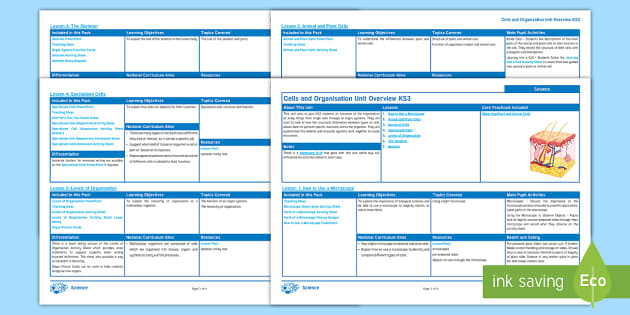 FREE! - KS3 Cells and Organisation Unit Overview | Biology | Beyond