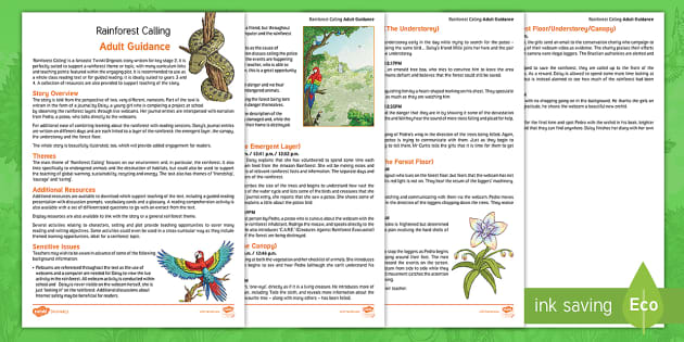 'Rainforest Calling' Amazon Rainforest Story for Key Stage 2 Adult Guidance