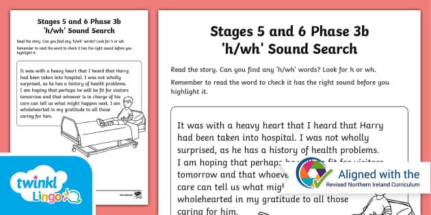 Northern Ireland Linguistic Phonics 3b 'h/wh' Sound Search Worksheet