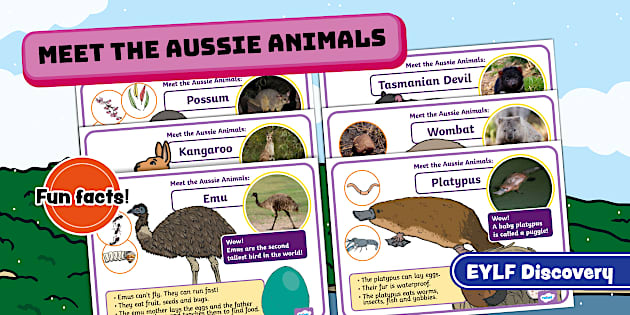 Meet the Aussie Animals