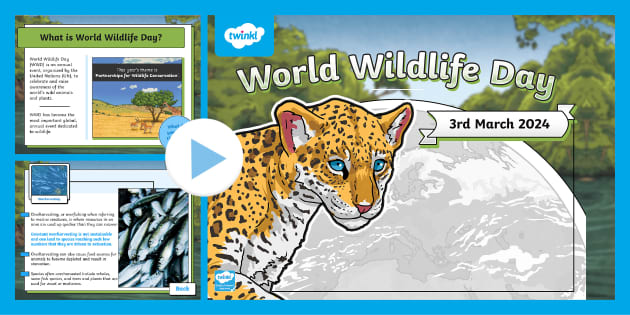 KS2 World Wildlife Day PowerPoint (teacher made) - Twinkl