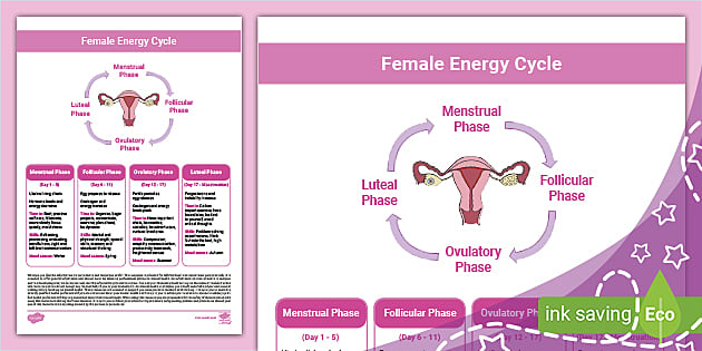 * NEW * Female Energy Cycle (teacher made)