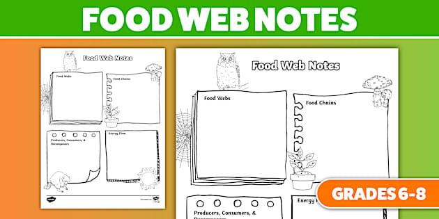 Food Web Notes Doodle Organizer for 6th-8th Grade - Twinkl