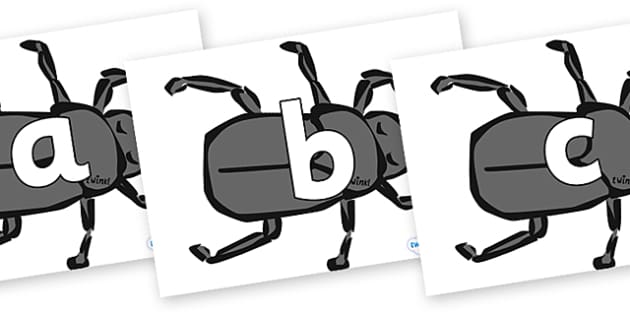 Phoneme Set on Beetles (teacher made) - Twinkl