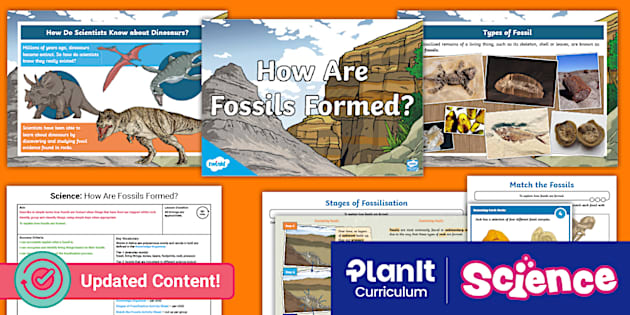 Mary Anning Fossils | Science | How Fossils Are Formed | KS2
