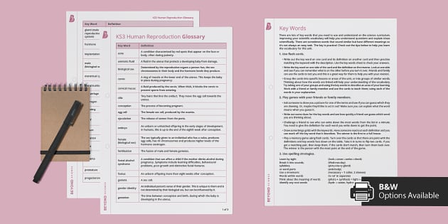 KS3 Human Reproduction Glossary (teacher made) - Twinkl