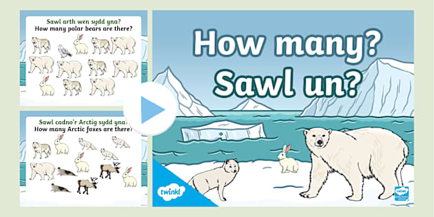 Learn Welsh: Counting to 5 in Welsh and English Arctic Animals Powerpoint