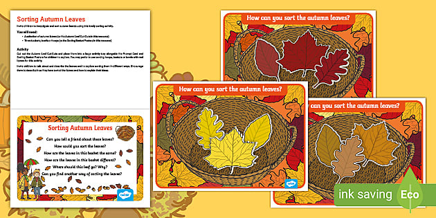 👉 Autumn Leaves Sorting Activity (teacher made)