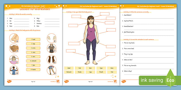 ESL Curriculum for Beginners: Lesson 10 Worksheet - Twinkl