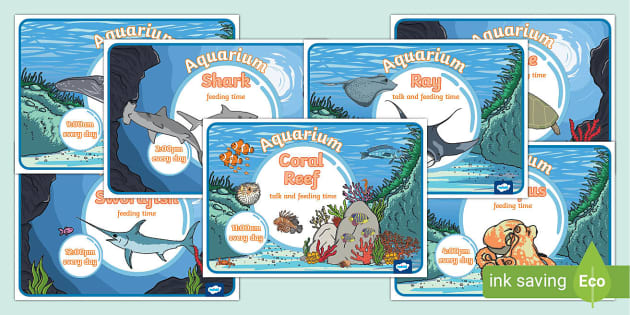 The Aquarium Feeding Times Role Play Posters (teacher made)