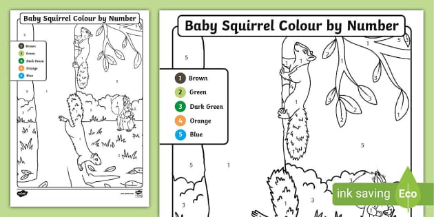 FREE! - Baby Squirrel Colour by Number Resource | Twinkl Worksheets