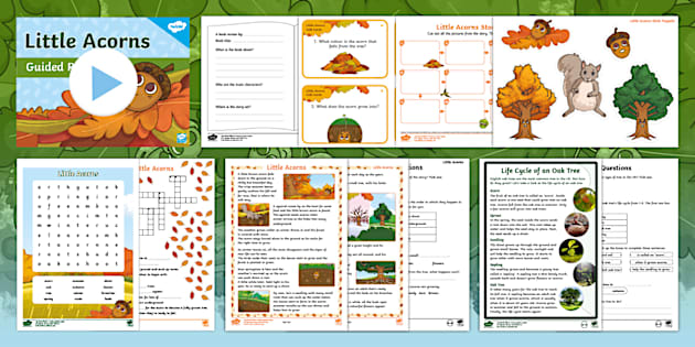 Little Acorns Guided Reading Pack (teacher made) - Twinkl