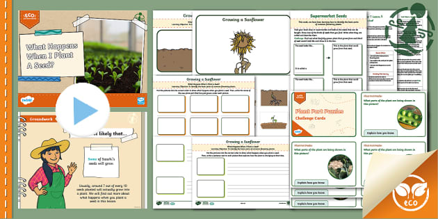 Planting a Seed: Eco-Adventurers Year 1 Lesson 5 - Twinkl