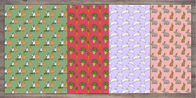 Rabbit A4 Sheets | Twinkl Party (Hecho por educadores)