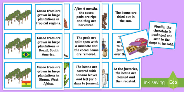 Fun Chocolate Facts and Activities for Kids - Twinkl