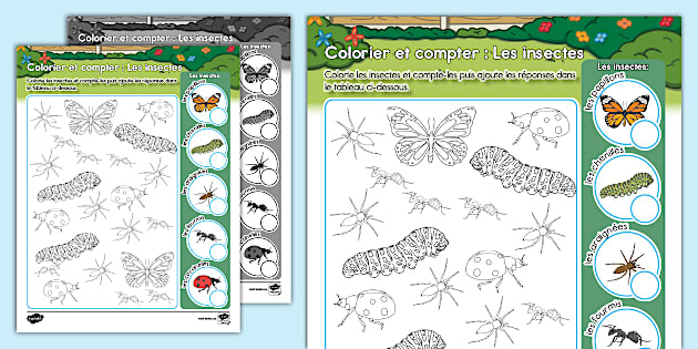 Coloriage insectes à imprimer | Activité de numération