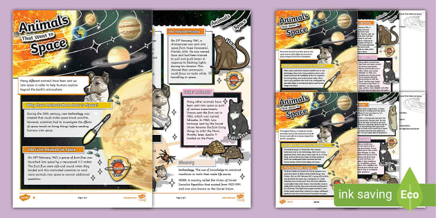 LKS2 Animals That Went to Space Differentiated Reading Comprehension ...