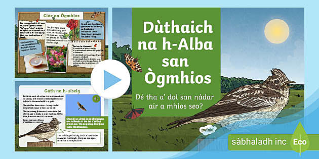 Dùthaich na h-Alba san Ògmhios – PowerPoint - Twinkl