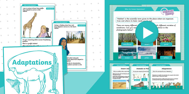 Step into Science: Year 6: Summer: Block 2: Adaptations: Steps 1 to 6