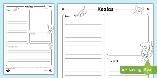 Koalas Fact File Template (teacher made) - Twinkl
