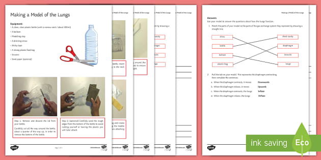 Modelling Lung Action Investigation Instruction Sheet Print-Out