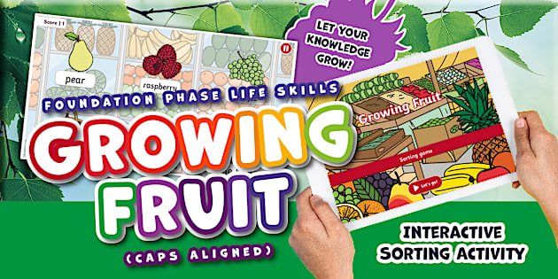 Foundation Phase Life Skills - Growing Fruit - Interactive Sorting ...