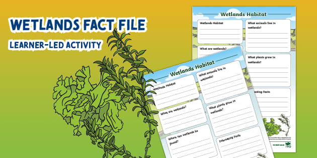Wetlands Habitat Fact File Template (teacher made) - Twinkl