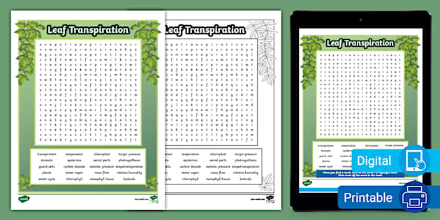 Leaf Transpiration Word Search for 6th-8th Grade - Twinkl